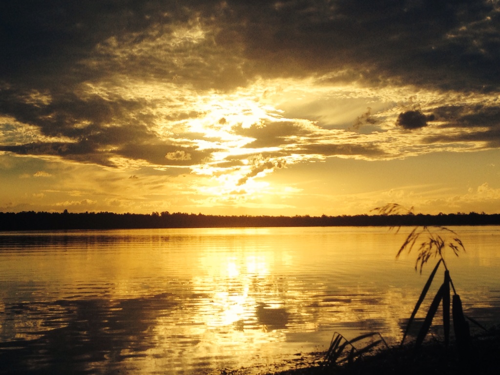 Wallis Lake sunset Forster Accommodation | Wallis Lake Cottages