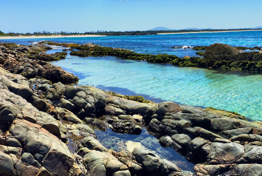 Rock pool Forster Accommodation | Wallis Lake Cottages